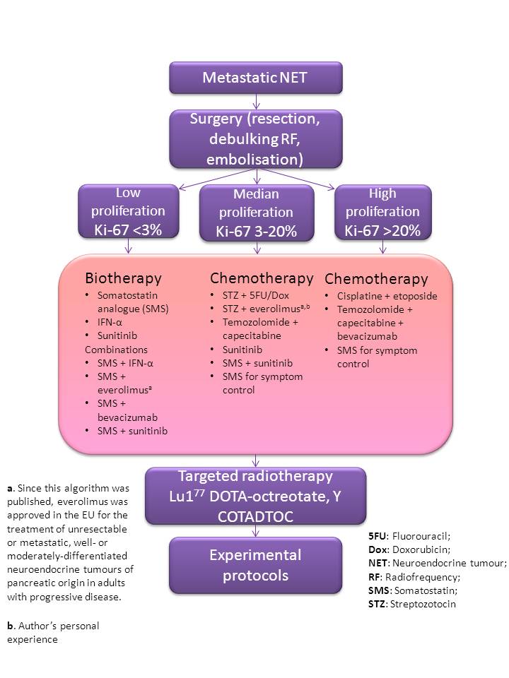 NET treatment algorithm