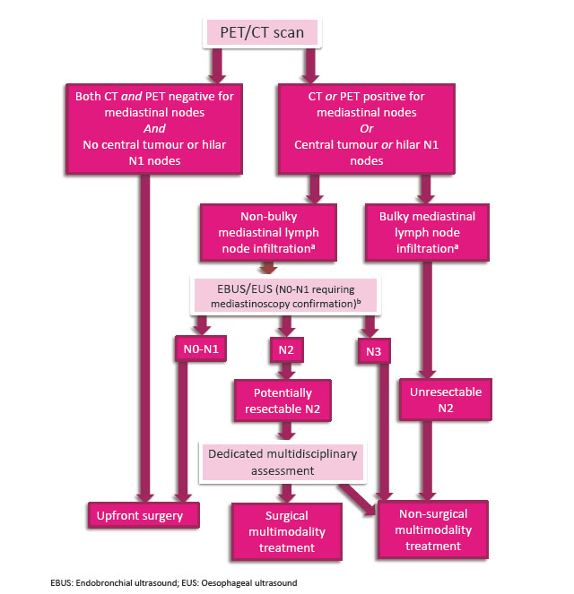 Suggested algorithm for lung cancer staging