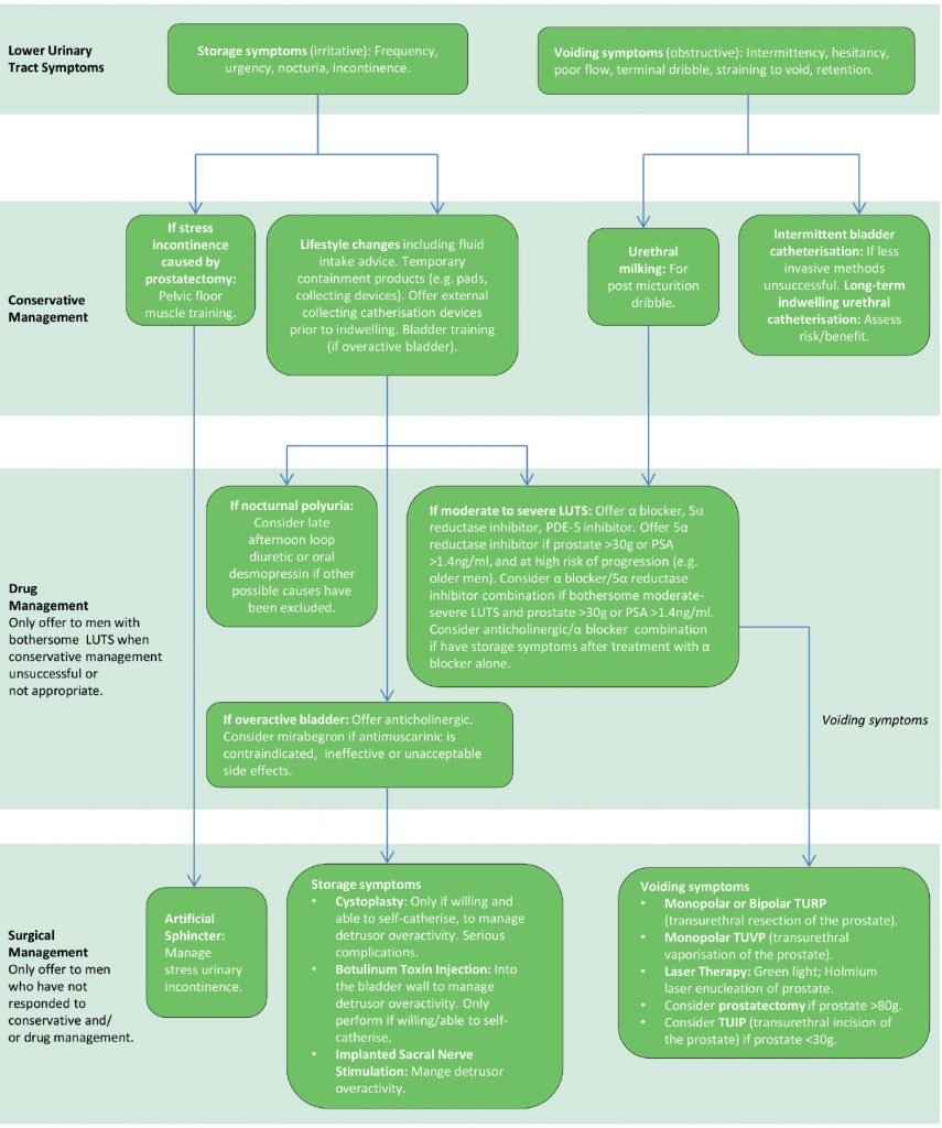 LUTS - BPH - NICE 2015 guidelines - MIMS Ireland
