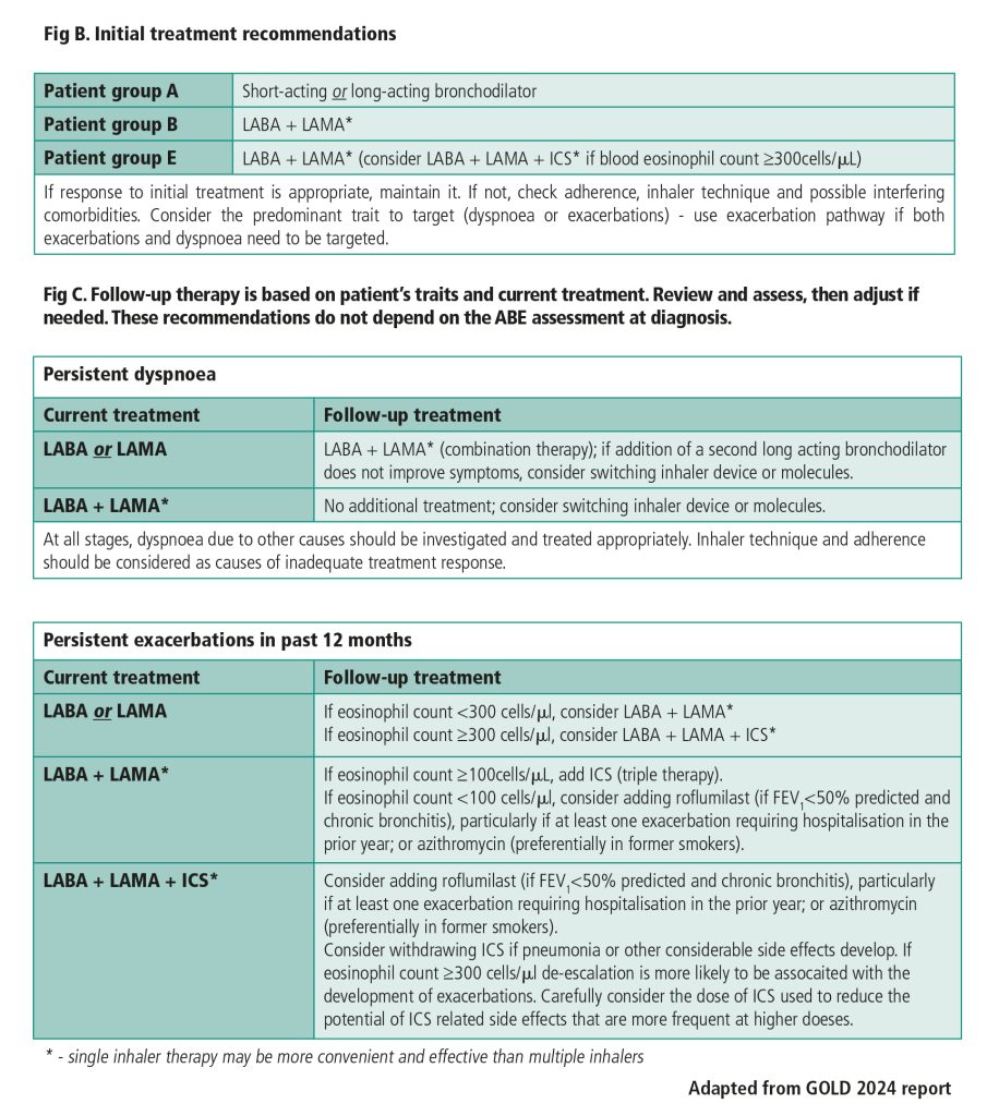 CS COPD_Sept 2024_FigB C - MIMS Ireland
