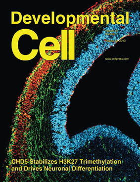 Testing for HIV needs to be routine in paediatrics