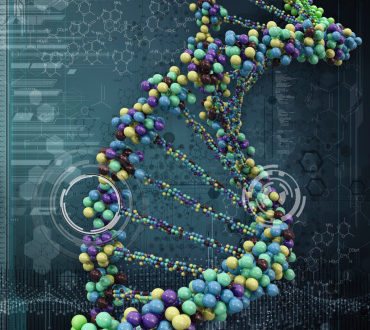 TCD team answers 40-year-old genome puzzle