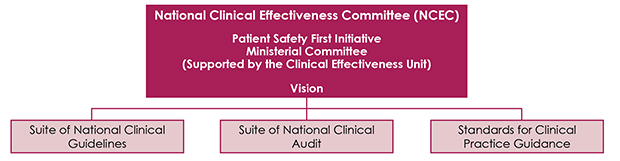 The National Clinical Effectiveness Framework