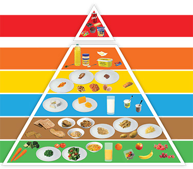 FSAI updates Food Pyramid Guide