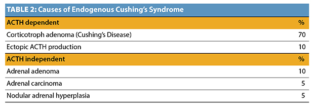 Cushing’s Syndrome: An Overview