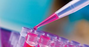 Blenrep (belantamab mafodotin) combinations approved in EU for treatment of relapsed/refractory ...