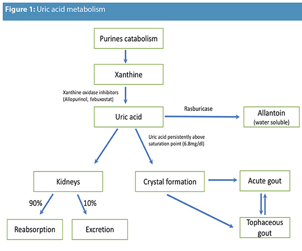 Optimal treatment options for gout