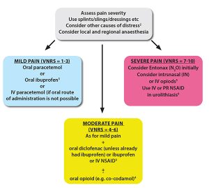 Managing acute pain in the emergency room