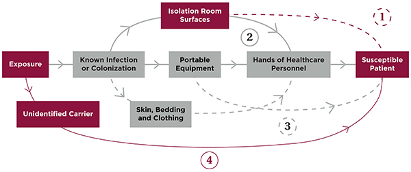Healthy Spaces: Environmental disinfection as a strategic intervention ...