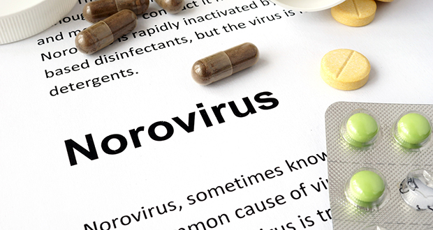 Norovirus cases on the rise in Ireland – HSE