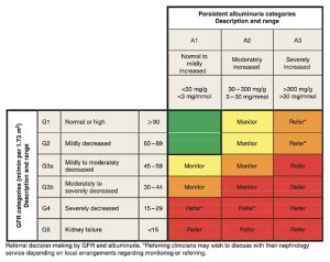 Chronic Kidney Disease: Perspectives for World Kidney Day 2024